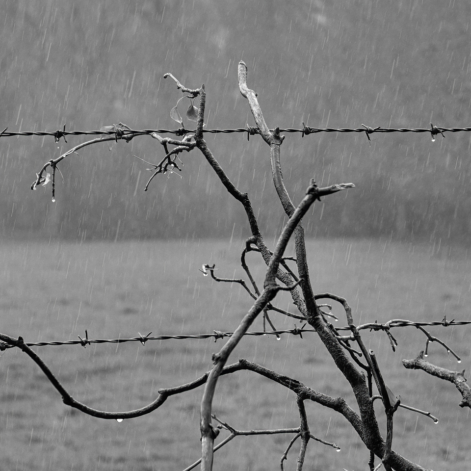 Rain, Rain, Go Away! | AH14inbw | Blipfoto