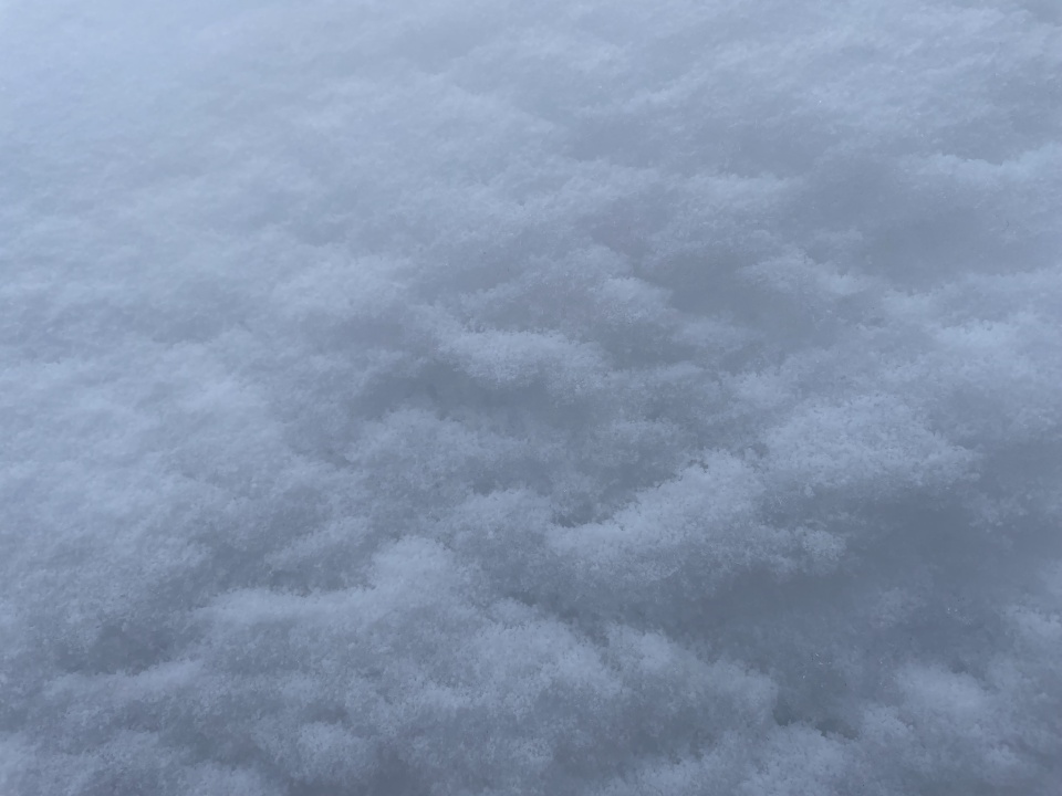 Shades of white | MissRAble | Blipfoto