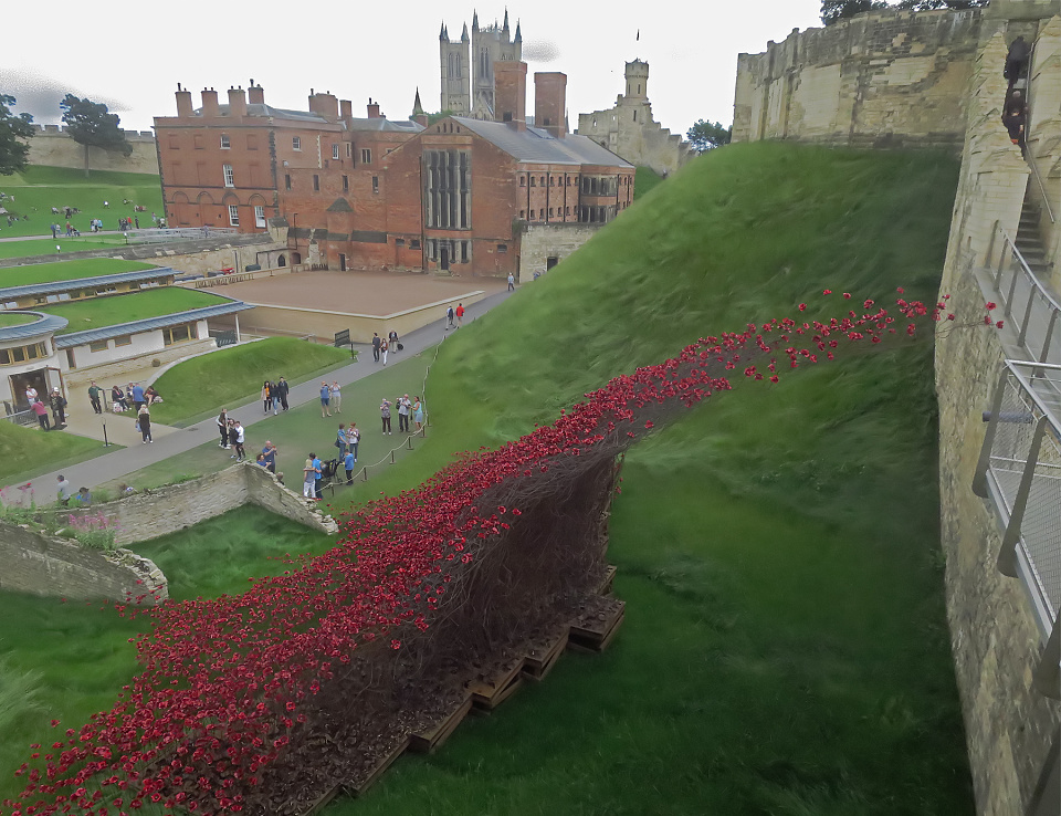 Poppy Wave at Lincoln Castle | VandeGraaff | Blipfoto