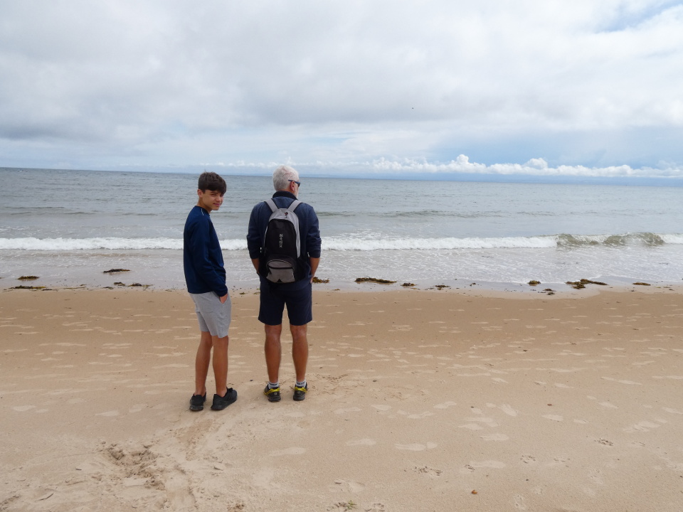 Shandwick Bay | Teasel | Blipfoto