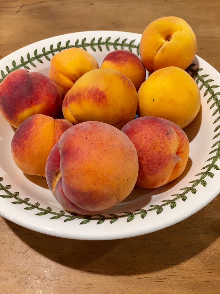 Peacherines | Thepainterswife | Blipfoto
