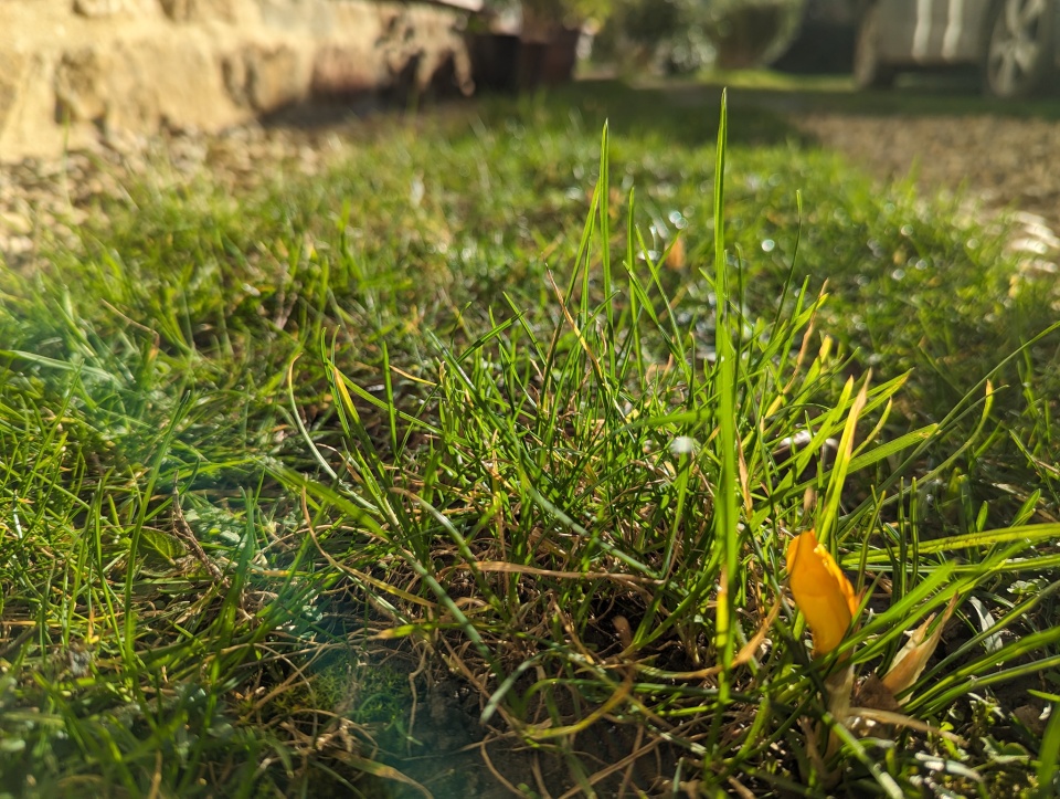 Hot and Bothered | Melisseus | Blipfoto