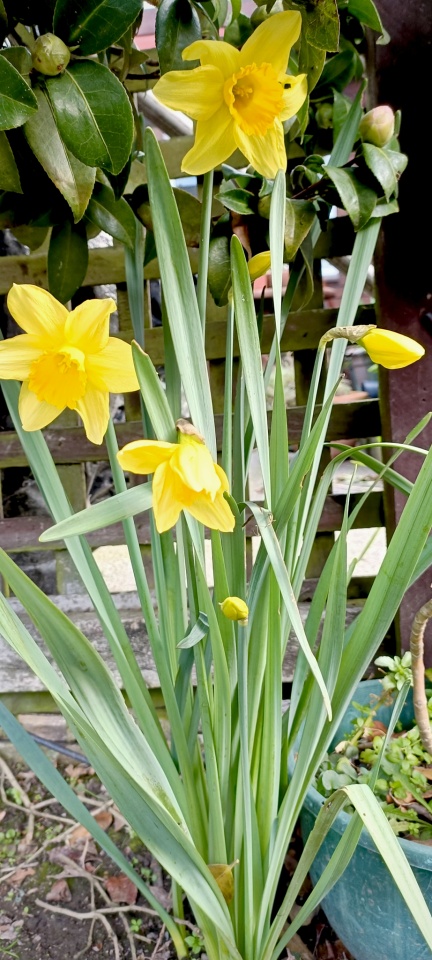 Signs of Spring | JMK | Blipfoto