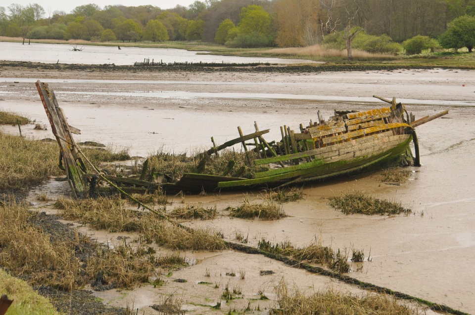 This wreck on the river... | IAE | Blipfoto