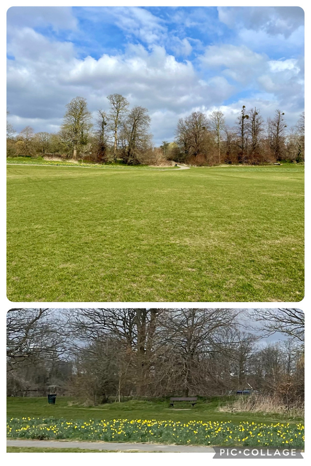 BUSY DAY OFF… | KJD | Blipfoto