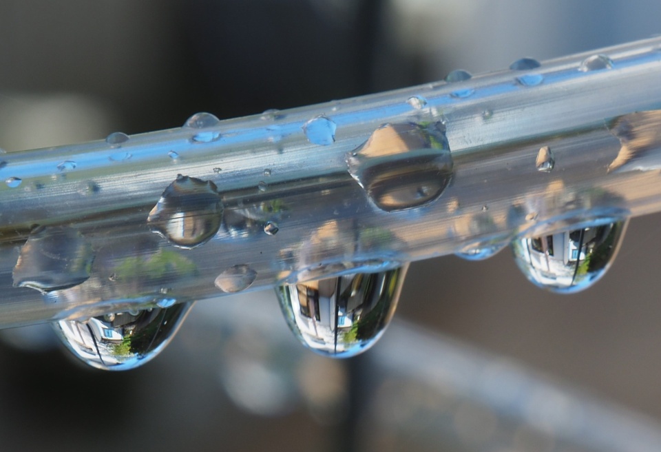 After The Rain | Hanulli | Blipfoto