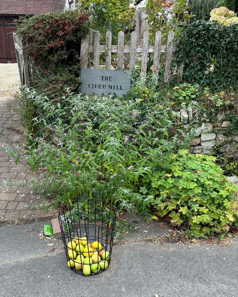 Apples | Technophobe | Blipfoto