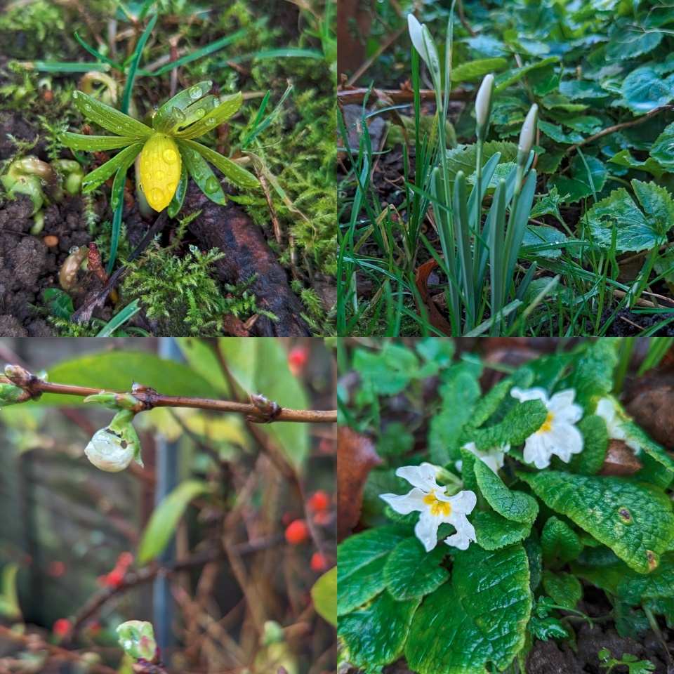 Brighten up | Melisseus | Blipfoto