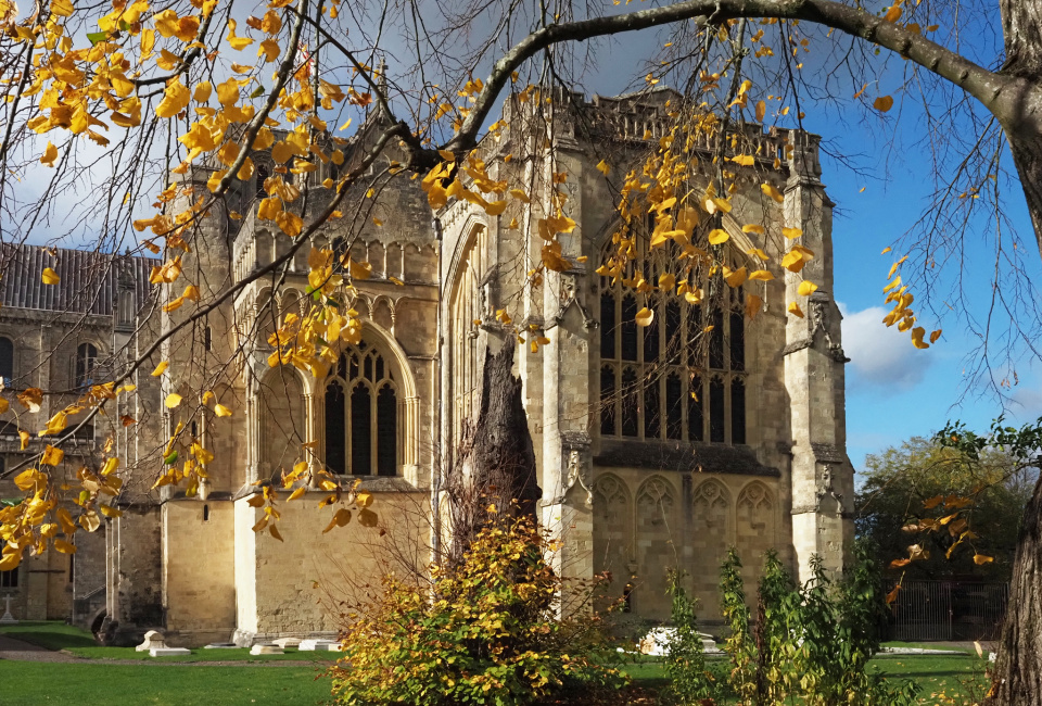 Autumn Cathedral | Miranda1008 | Blipfoto