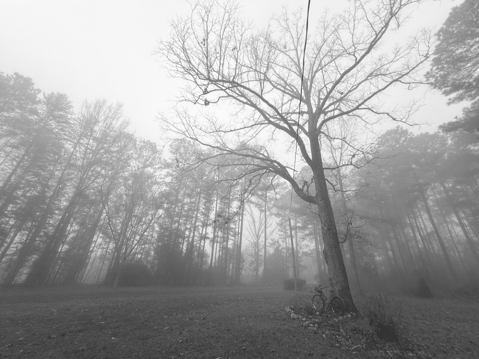Foggy first Monday | MaryElizaR | Blipfoto