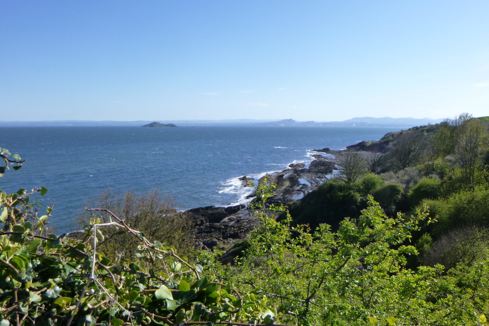 The Forth | rat | Blipfoto