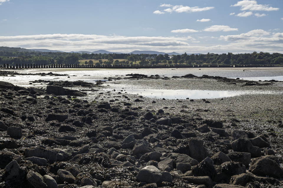 Cramond Island | CorvidFiesta | Blipfoto