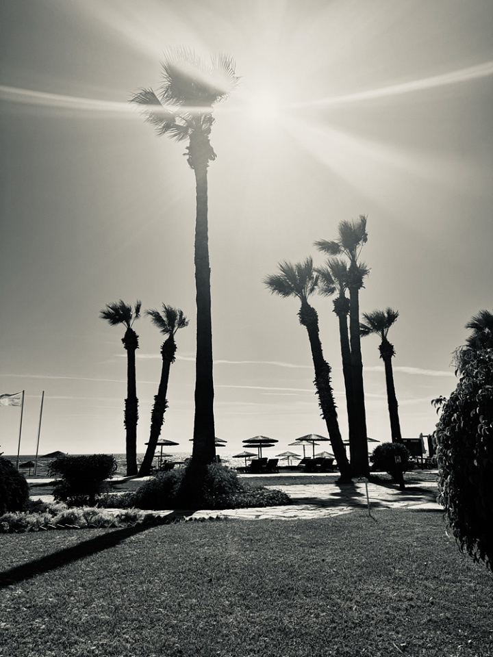 Straight up | smilelikeabunny | Blipfoto