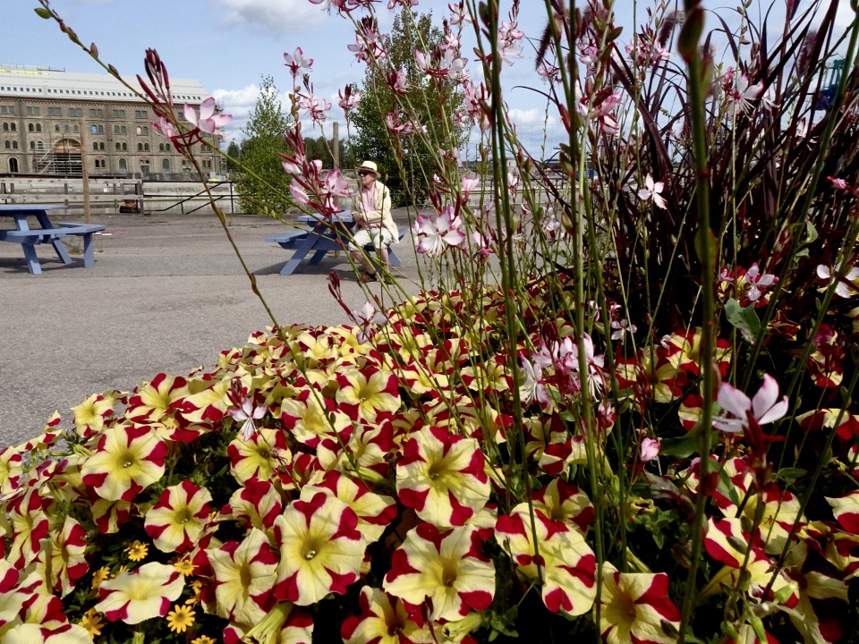Pink | heanku | Blipfoto