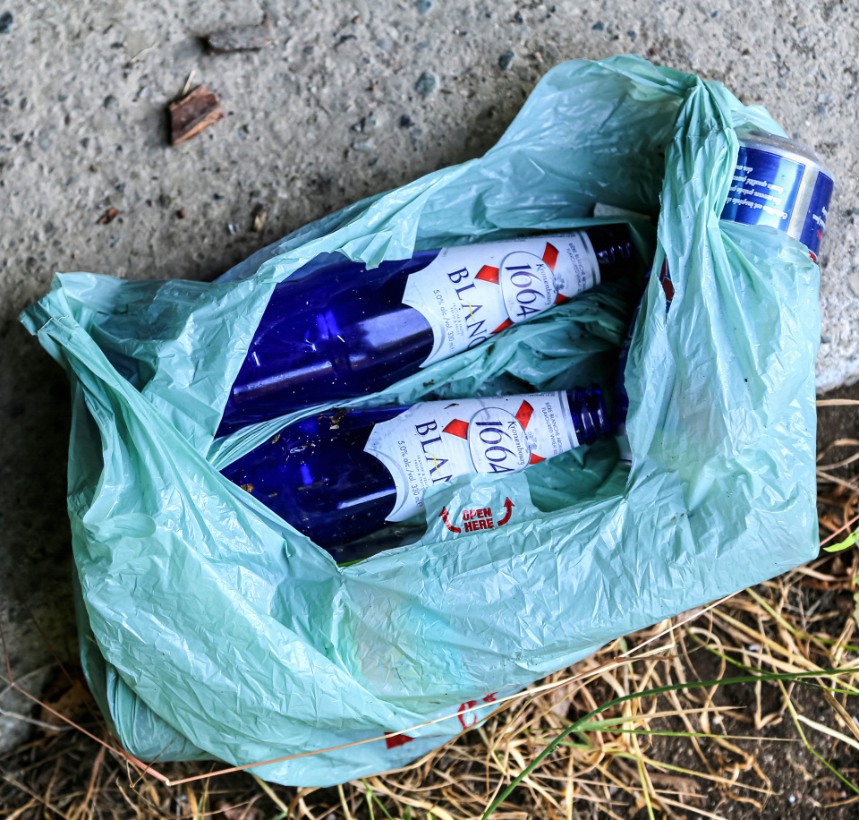 Party litter | Nanzy19 | Blipfoto