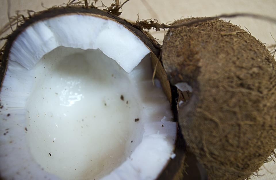 Coconut. | Jerra | Blipfoto