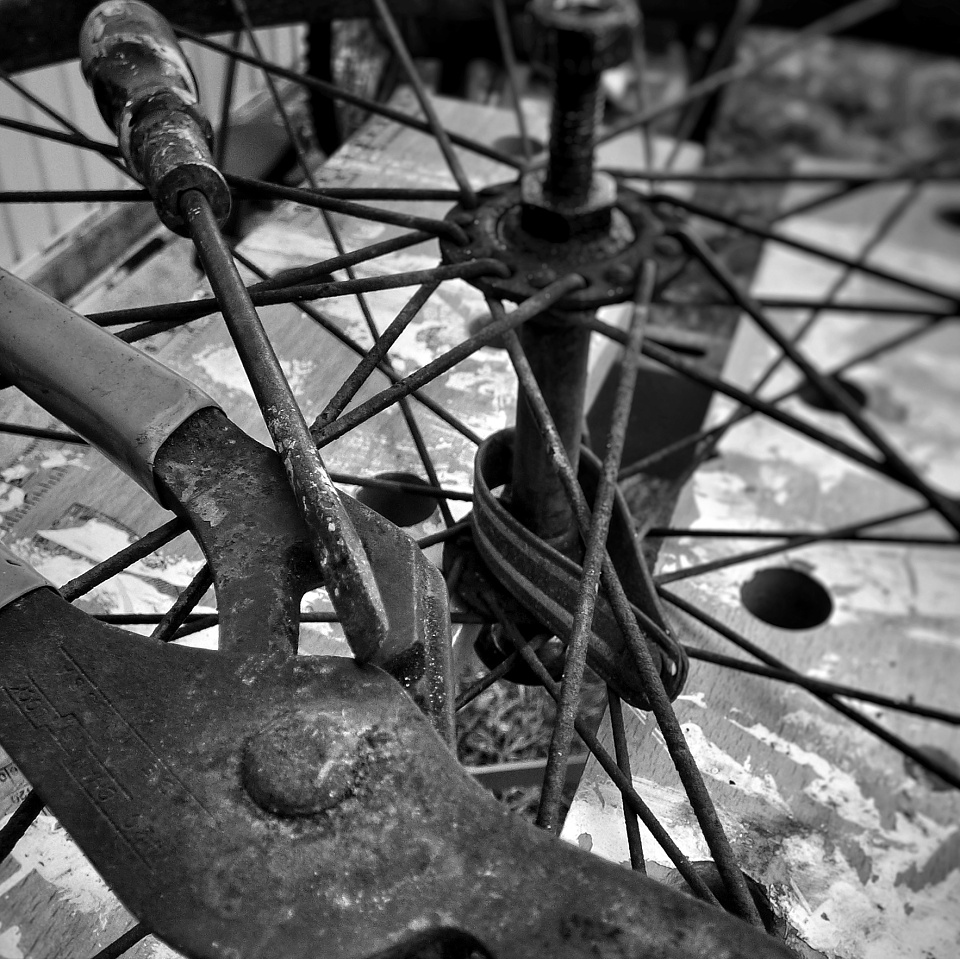 Old and Crusty | PepperG | Blipfoto