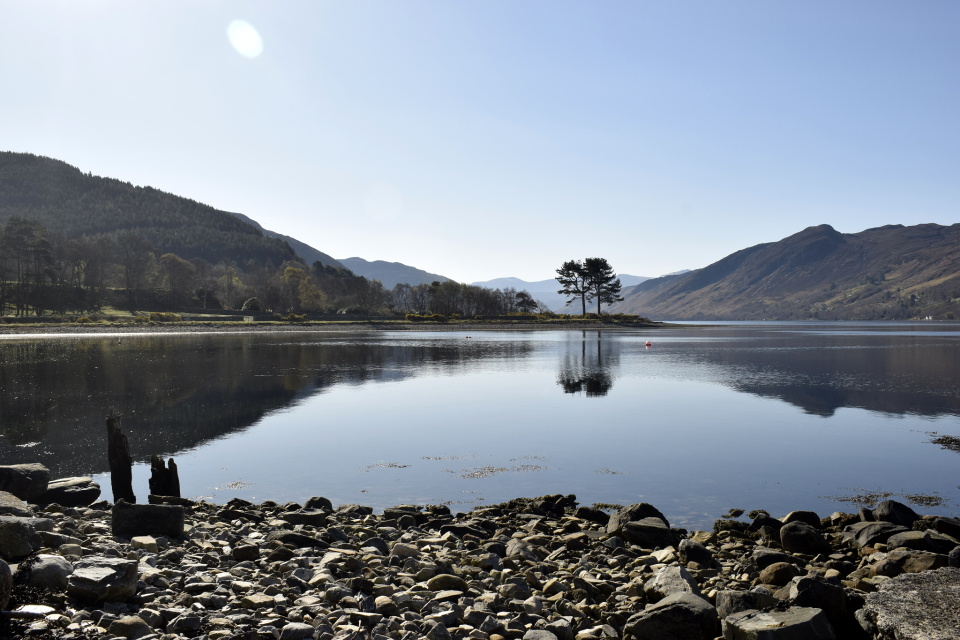 Day off | rat | Blipfoto