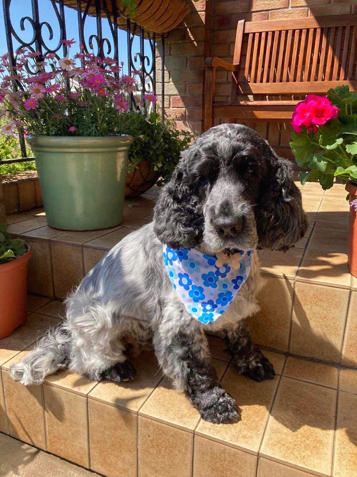 Our precious girl on her “Gotcha Day!” | MaggieD | Blipfoto