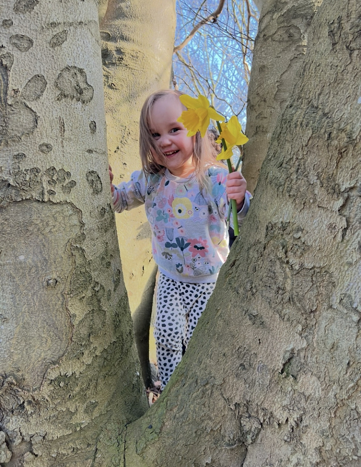 Tree creeper | Romay | Blipfoto