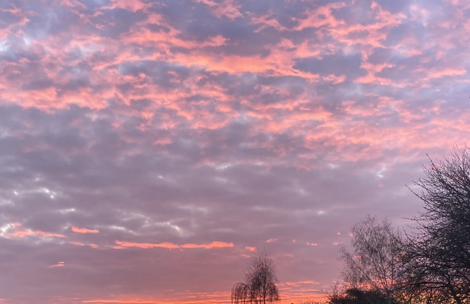 Beautiful | Alison666 | Blipfoto