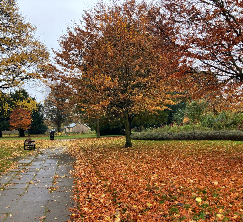 We will Remember Them | mambo | Blipfoto