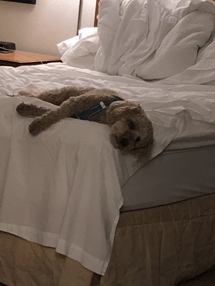 Quiet Time | comments | Blipfoto