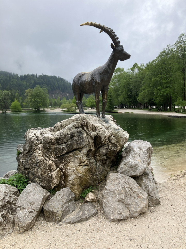 Golden Ibex | billygoat | Blipfoto