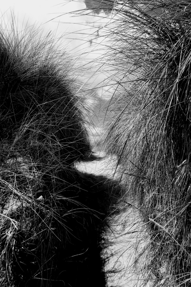 Dunes | middleman | Blipfoto