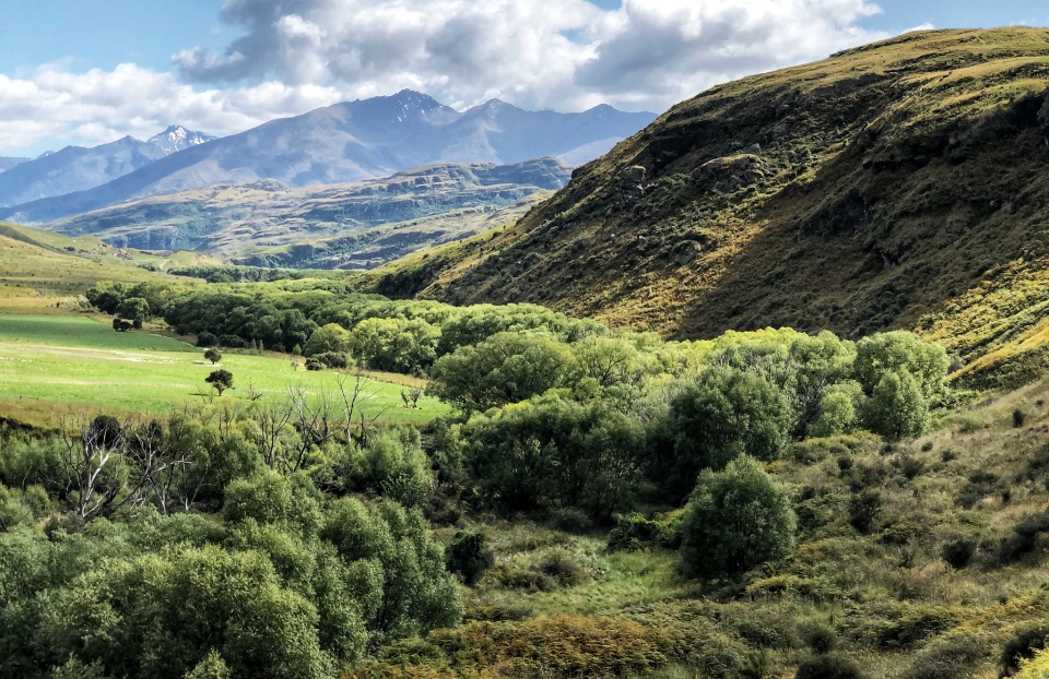 Motatapu River Valley | Pianolady | Blipfoto