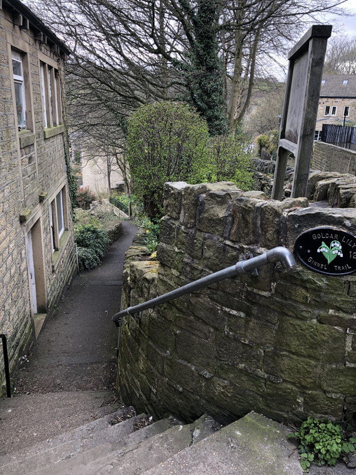 Ginnel of the week | ShanWilliams | Blipfoto