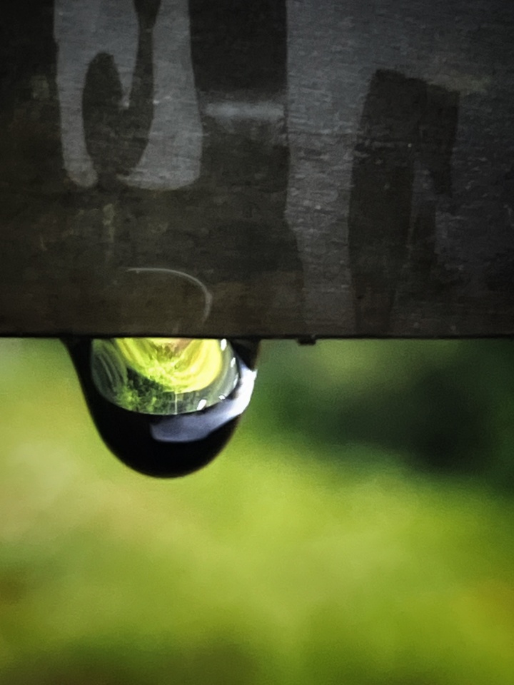 A Little Much Needed Rain | madowoi | Blipfoto