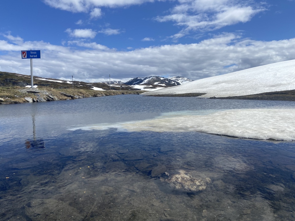 Norway between Voss and Vik | sister | Blipfoto