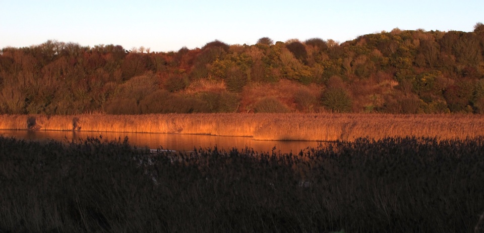Siddick Pond | DerwentLass | Blipfoto