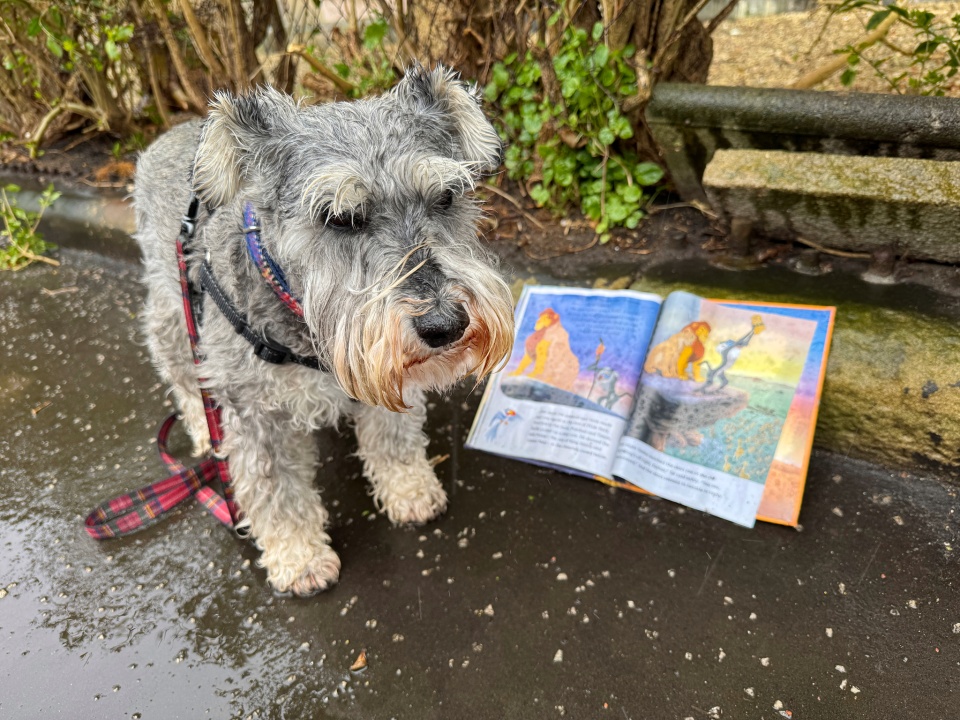 Caught in the rain! | LadyMarchmont | Blipfoto