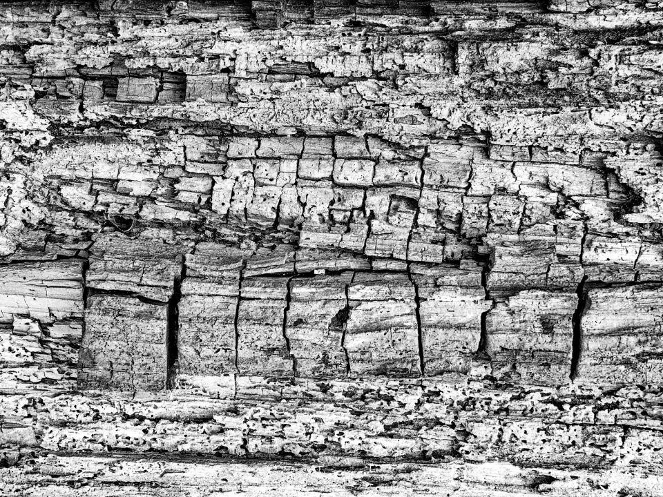 MonoMonday: Texture | davidc | Blipfoto