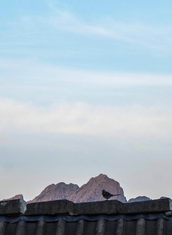 Another | AMphoto | Blipfoto