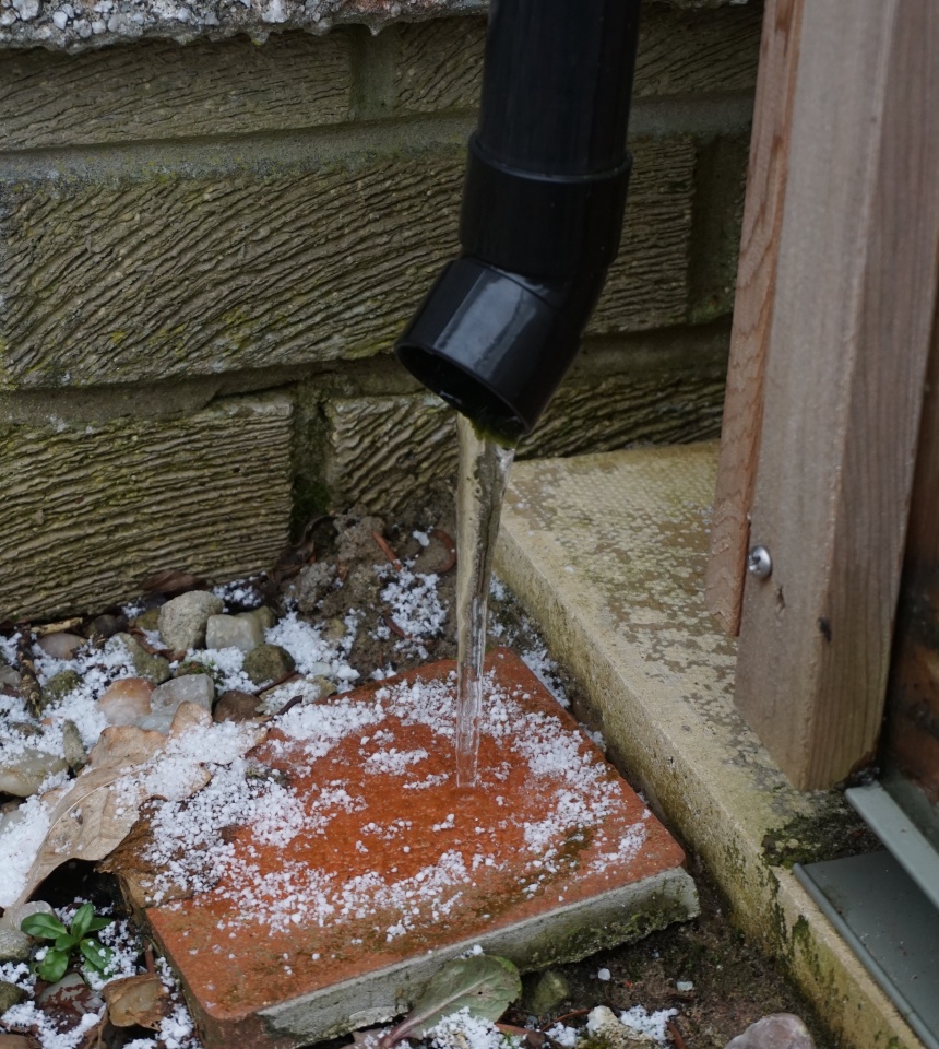 Frozen mid-drip | thebear | Blipfoto