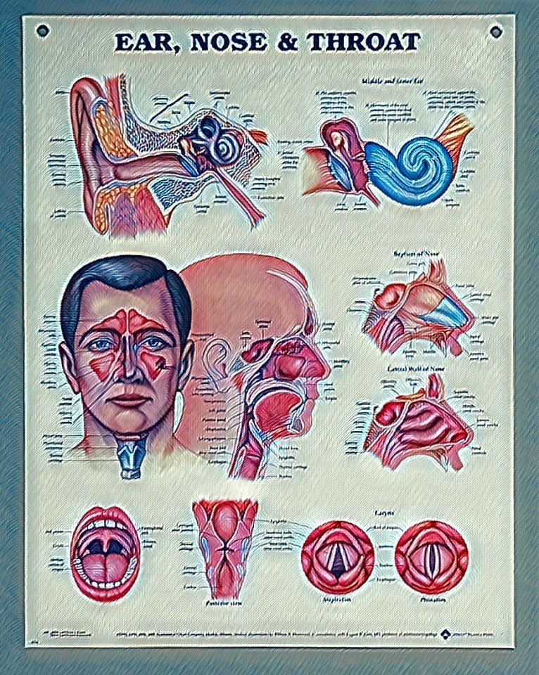 The Specialist | madowoi | Blipfoto