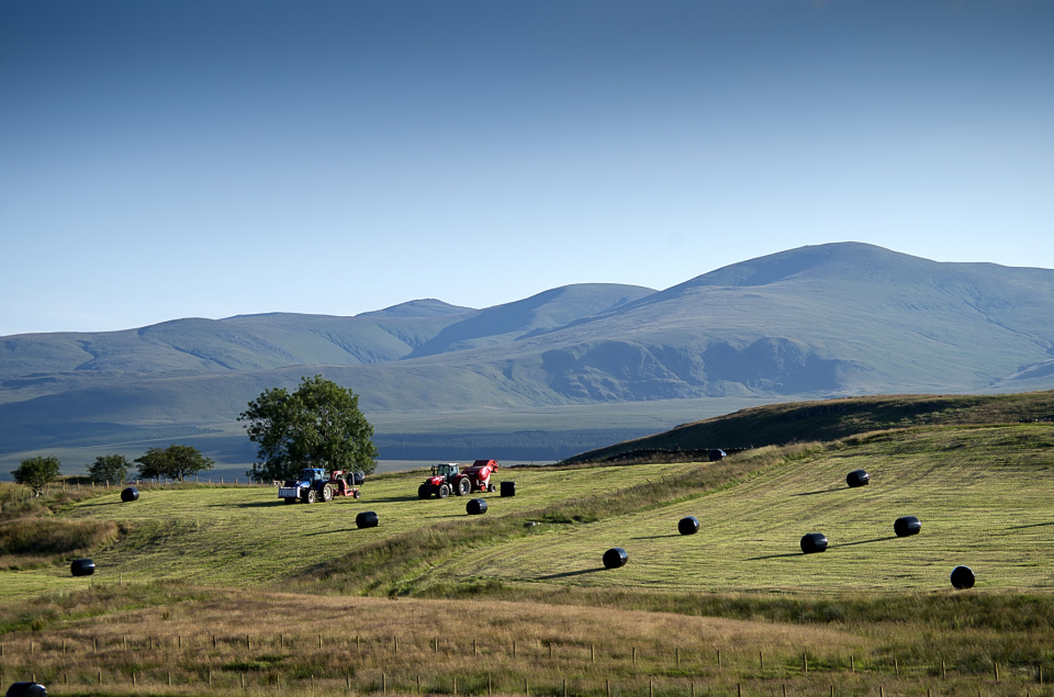 THird cut silage. | Jerra | Blipfoto