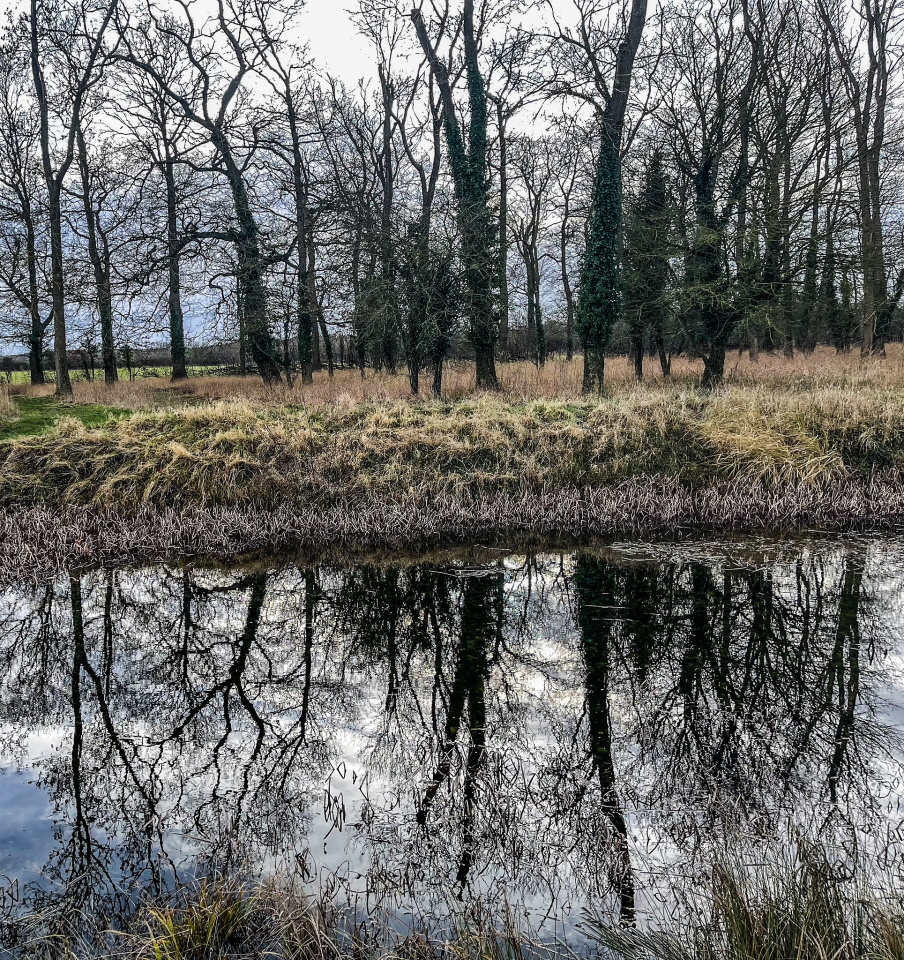 More reflections | chrispybox | Blipfoto