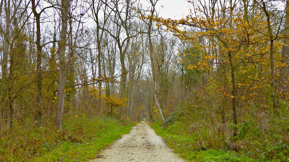 Last of Autumn | the_nelsons | Blipfoto