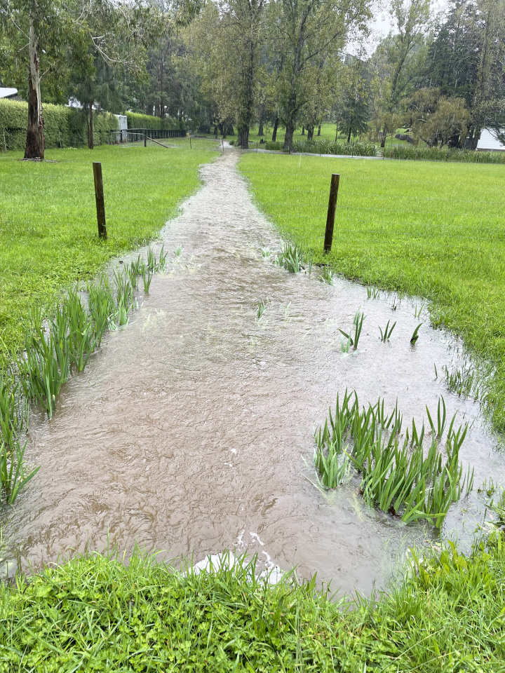 Not so easy bein' green | Burradoo | Blipfoto