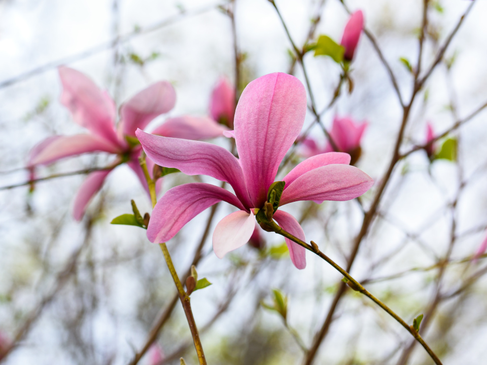 Sunday, May 21, 2023 | Kirre | Blipfoto