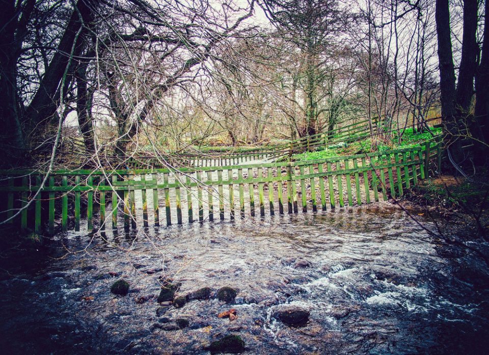 River fence | MrSmith | Blipfoto
