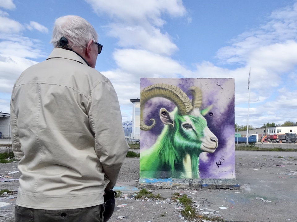 Man staring at goats | heanku | Blipfoto