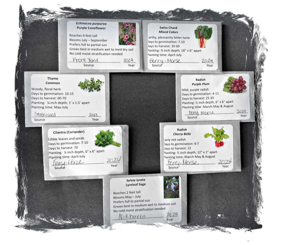 Seeds | cindy_ellis | Blipfoto