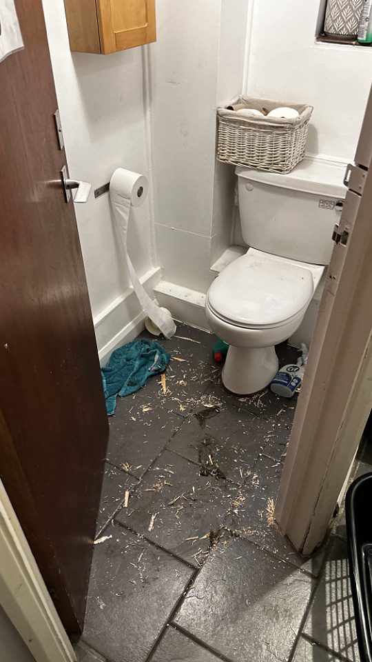 Dirty protest | davidd | Blipfoto