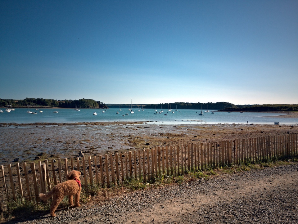 Fenced out/in | ajt | Blipfoto