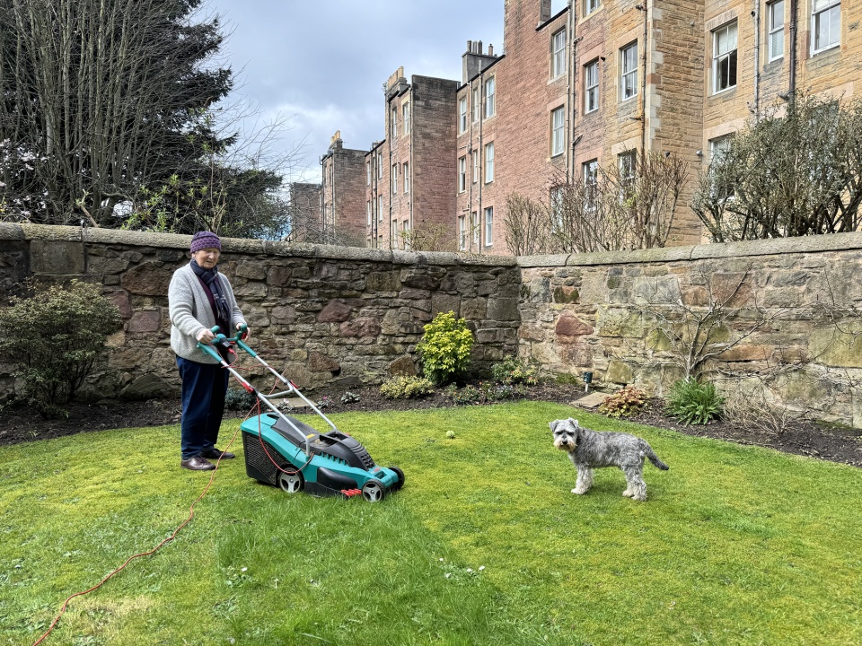 The first cut is the deepest | LadyMarchmont | Blipfoto